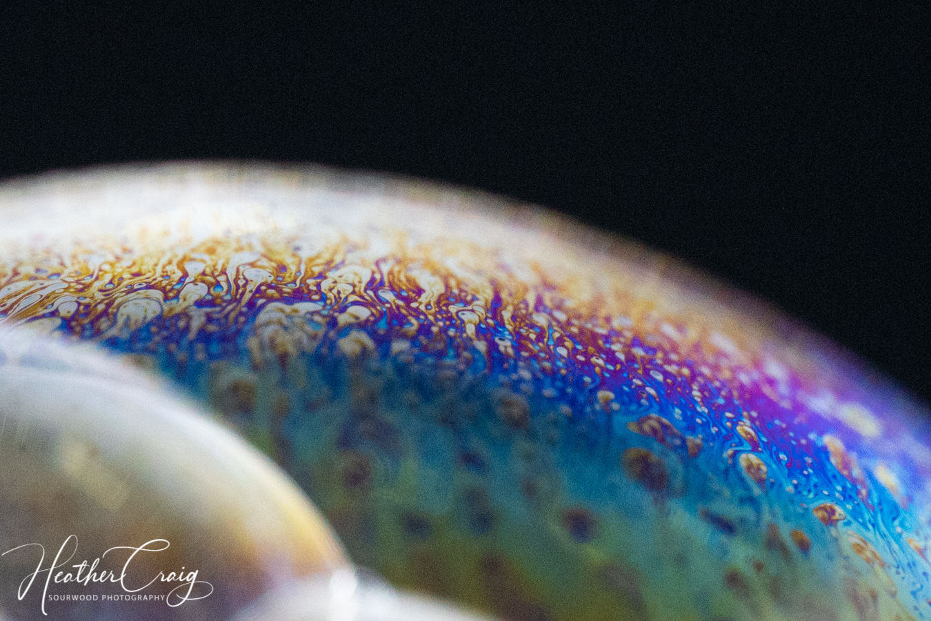 Bubbles Behind the Scenes – SourwoodPhotography